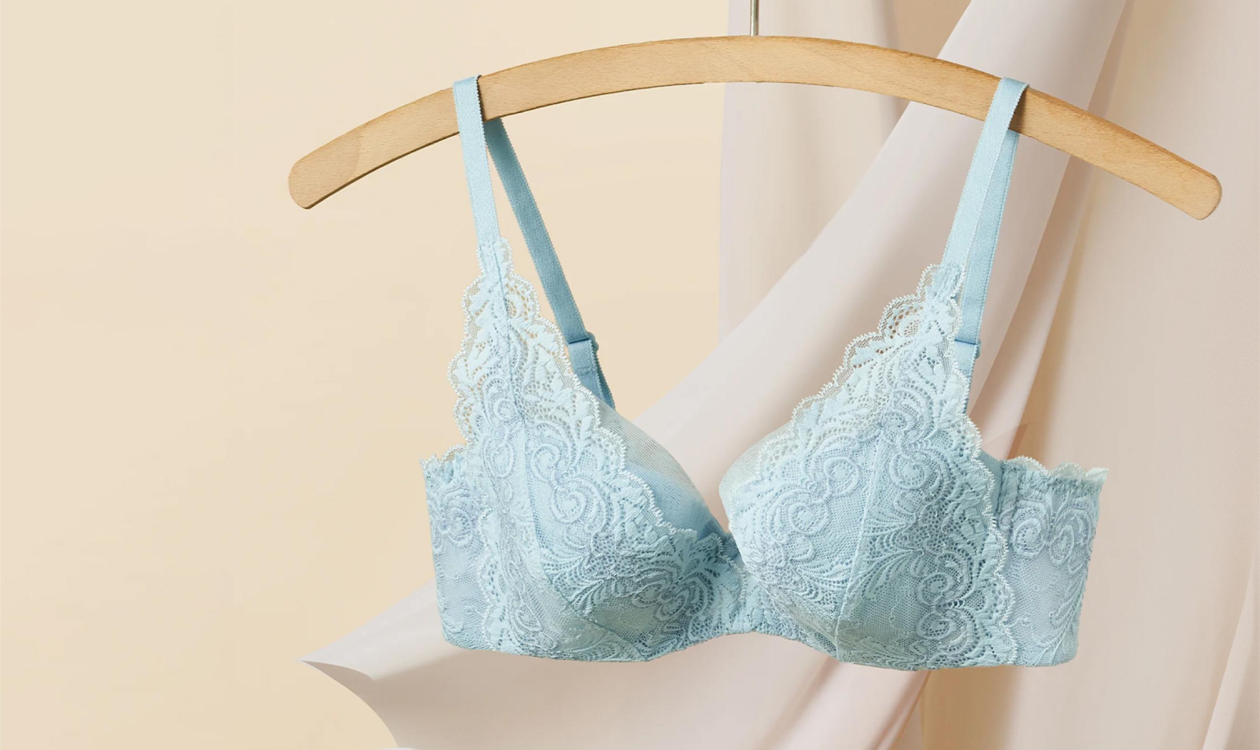 Triumph PREMIUM -Gold Label - 【ミレポルテ】MILLEPORTE